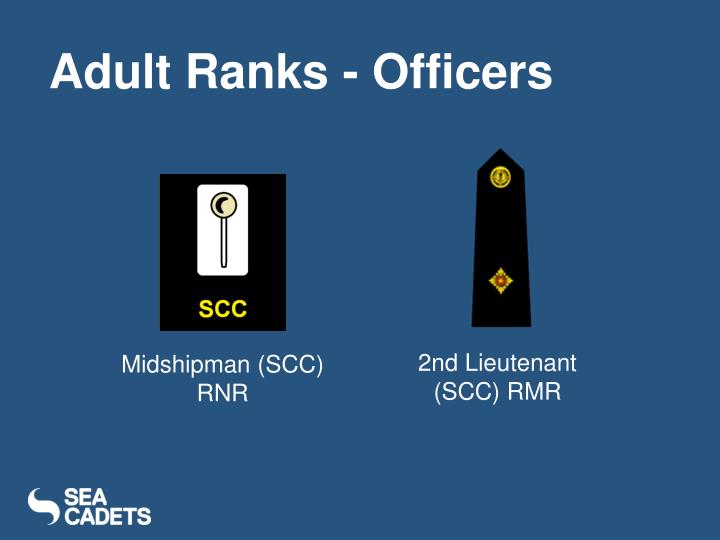 PPT - Sea Cadet Corps Ranks and Rates PowerPoint Presentation - ID:6998014