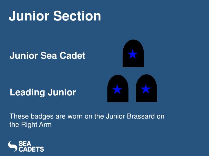 PPT - Sea Cadet Corps Ranks and Rates PowerPoint Presentation - ID:6998014