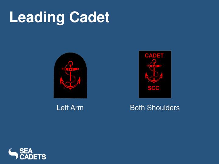 PPT - Sea Cadet Corps Ranks and Rates PowerPoint Presentation - ID:6998014