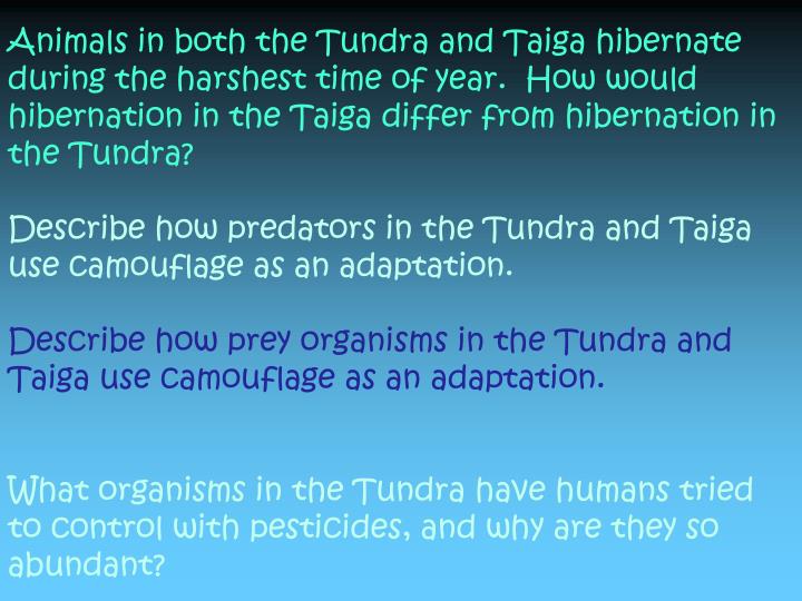 PPT - Earth's Biomes: The Taiga PowerPoint Presentation - ID:6998097
