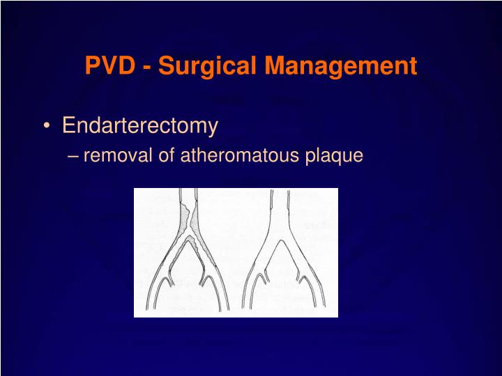 PPT - Aneurysms and ‘Peripheral Vascular Diseases’ PowerPoint ...