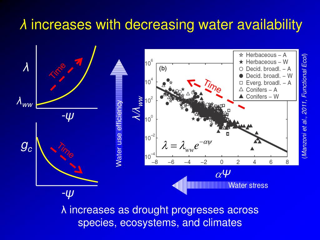 PPT - PHOTO BY S. MANZONI PowerPoint Presentation, free download - ID ...