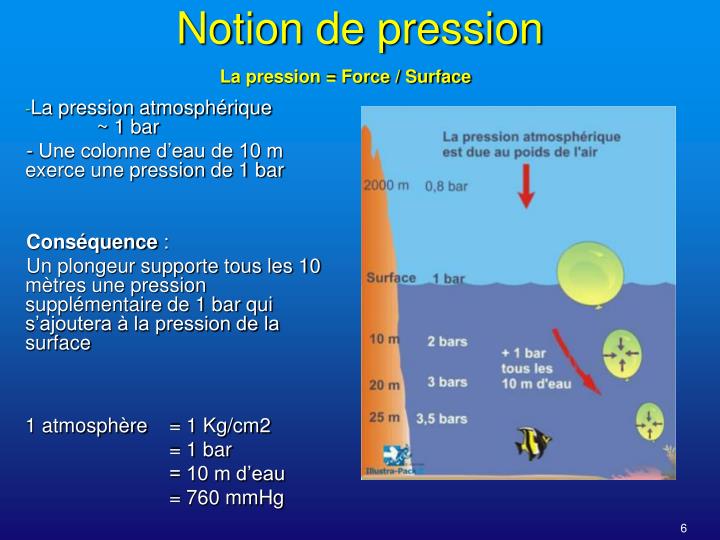 PPT - L’ Apnée : Connaissances et approche théoriques pour Apnéiste Niveau 2 PowerPoint ...