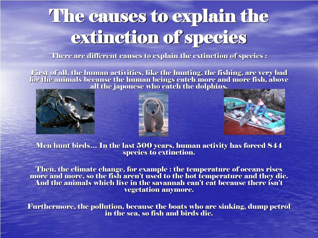 PPT - Extinction of species PowerPoint Presentation, free download - ID ... PPT - Extinction of species PowerPoint Presentation, free download - ID ...