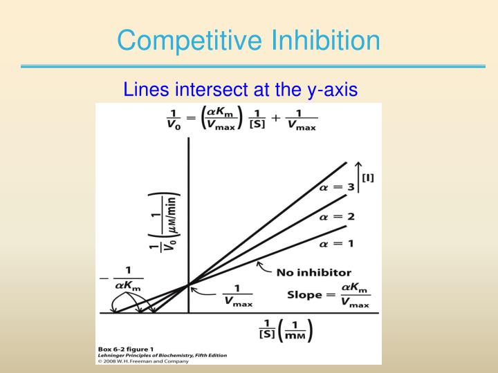 PPT - Chapter 6.3: Enzyme Inhibition PowerPoint Presentation - ID:7001782