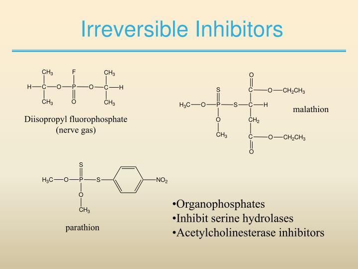 PPT - Chapter 6.3: Enzyme Inhibition PowerPoint Presentation - ID:7001782
