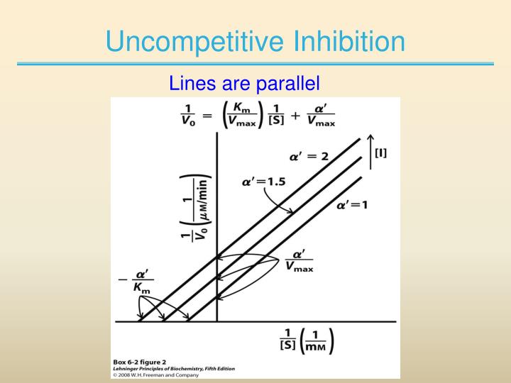 PPT - Chapter 6.3: Enzyme Inhibition PowerPoint Presentation - ID:7001782