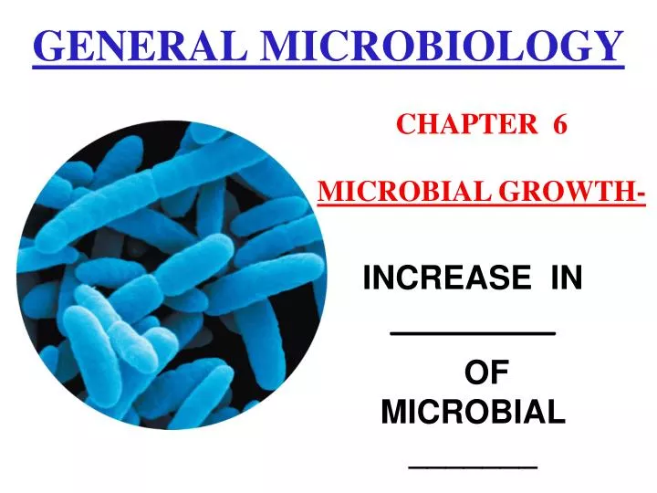 PPT - GENERAL MICROBIOLOGY PowerPoint Presentation, free download - ID ...