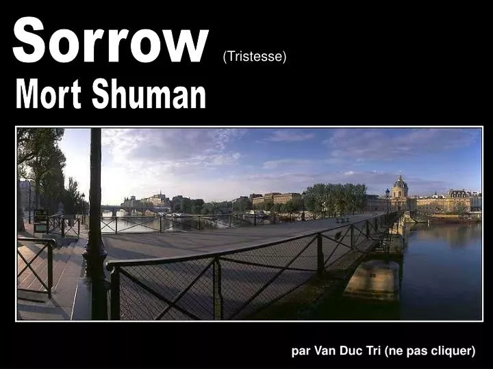 PPT - Sorrow PowerPoint Presentation, free download - ID:7002231