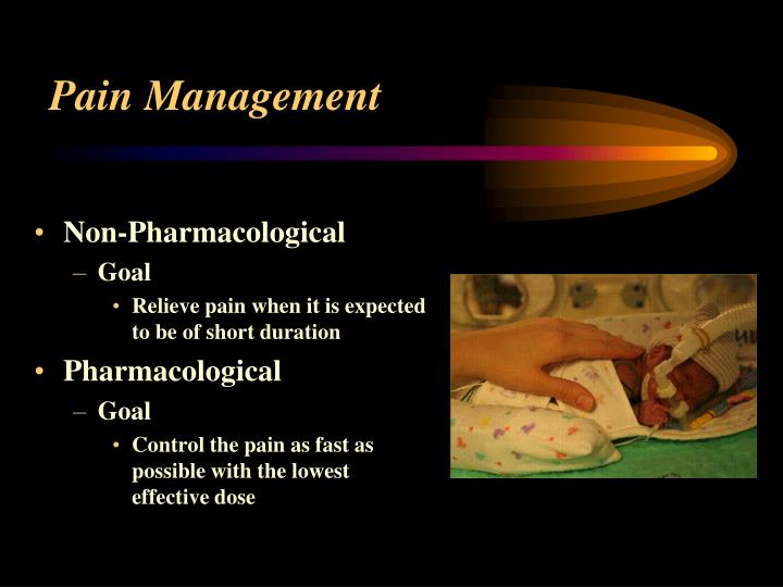 PPT - Neonatal Pain PowerPoint Presentation - ID:7003993