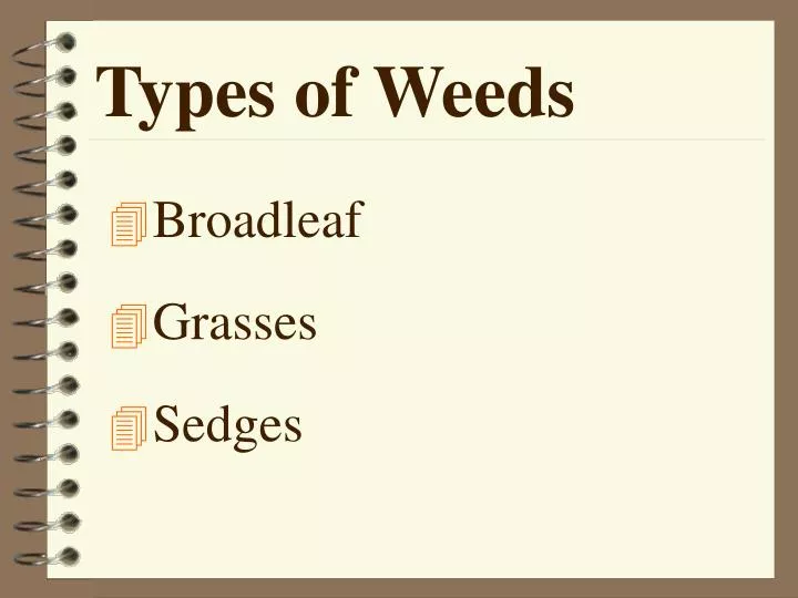 PPT - Types of Weeds PowerPoint Presentation, free download - ID:7004331