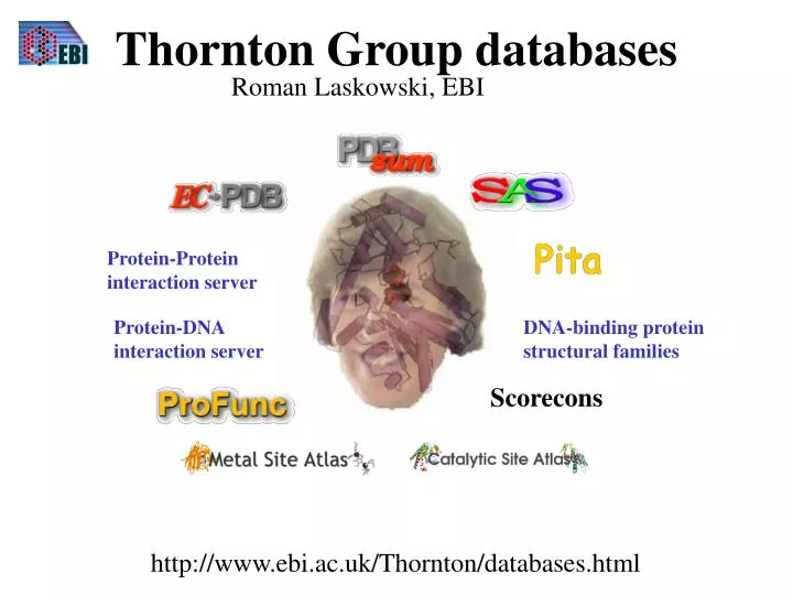 PPT - Thornton Group databases PowerPoint Presentation, free download ...