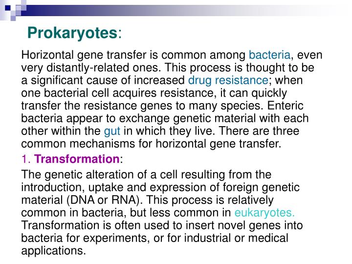 PPT - TRANSFER OF GENETIC INFORMATION PowerPoint Presentation - ID:7004746