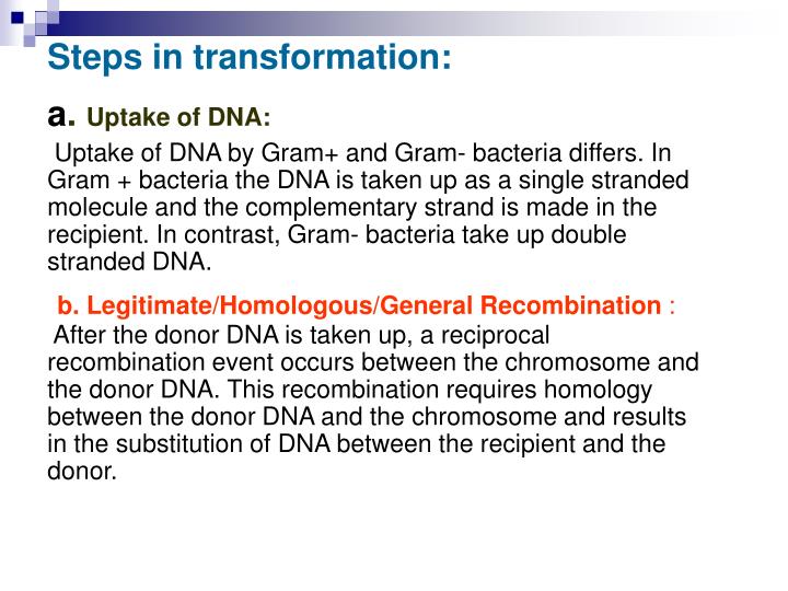 PPT - TRANSFER OF GENETIC INFORMATION PowerPoint Presentation - ID:7004746