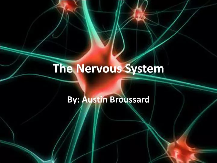 PPT - The Nervous System PowerPoint Presentation, free download - ID ...