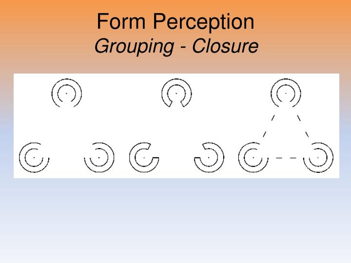 PPT - Unit 4: Sensation and Perception PowerPoint Presentation - ID:7005635