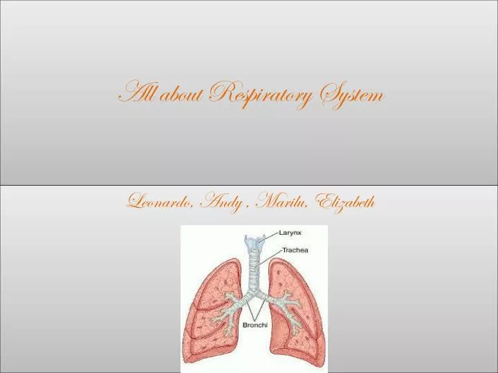 PPT - All about Respiratory System PowerPoint Presentation, free ...