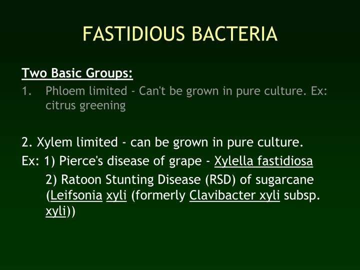 PPT - March 24 2008 PowerPoint Presentation - ID:7009246
