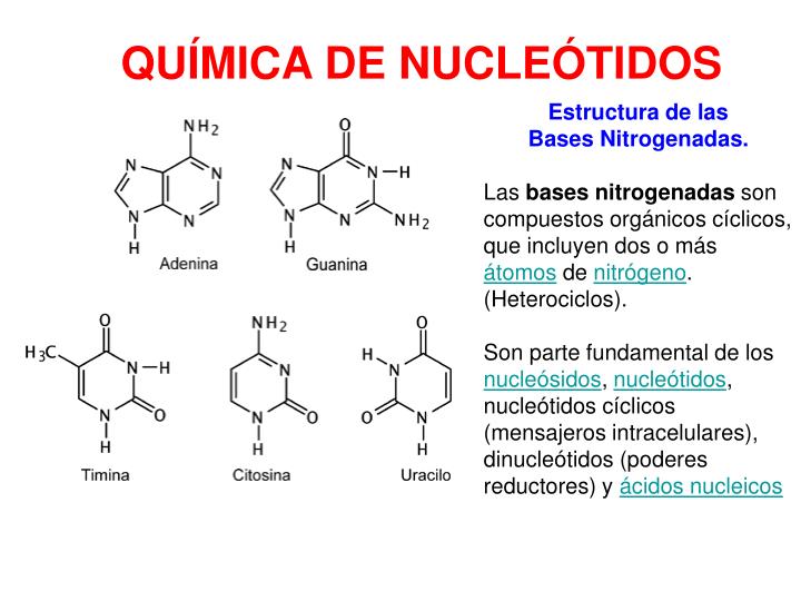 PPT - QUÍMICA ORGÁNICA PowerPoint Presentation - ID:7009313