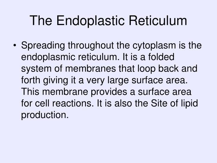 PPT - cells PowerPoint Presentation - ID:7010459