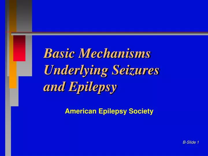 PPT - Basic Mechanisms Underlying Seizures and Epilepsy PowerPoint ...