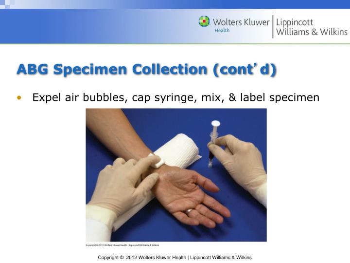 PPT - Chapter 14: Arterial Puncture Procedures PowerPoint Presentation ...
