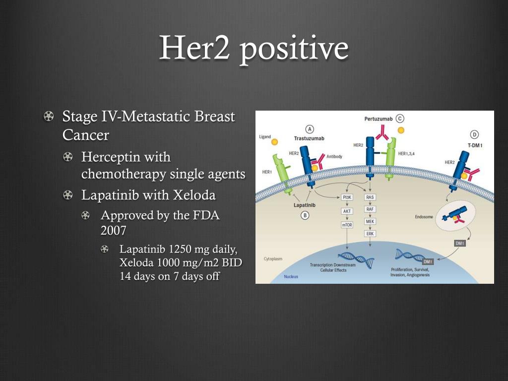 PPT - Breast Cancer: Updates in systemic therapy options PowerPoint ...