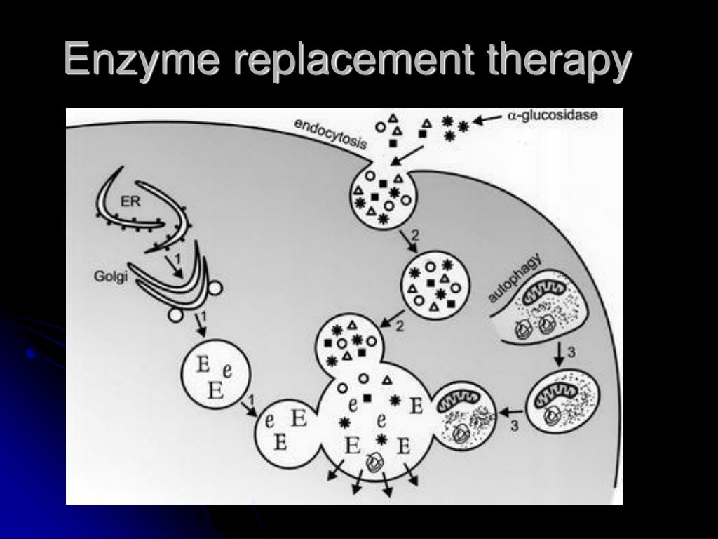 PPT - Case Discussion Pompe Disease 2003. 06. 30. PowerPoint ...