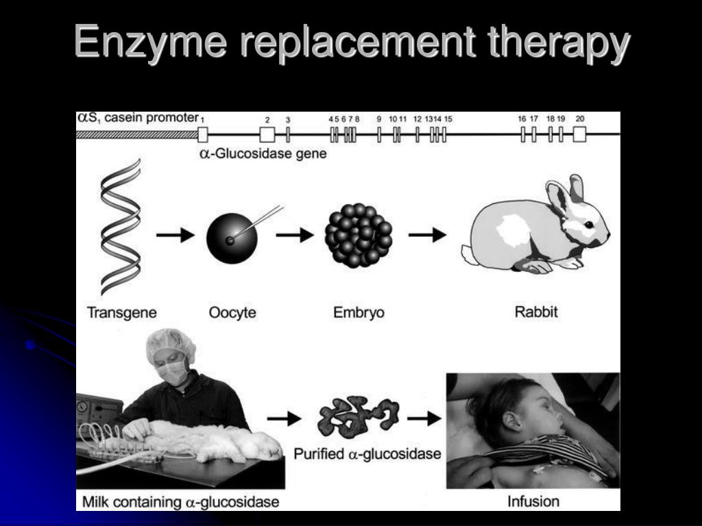 PPT - Case Discussion Pompe Disease 2003. 06. 30. PowerPoint ...