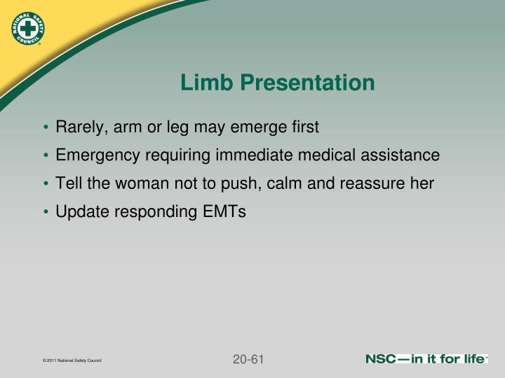 PPT - PREGNANCY AND CHILDBIRTH PowerPoint Presentation - ID:7016229