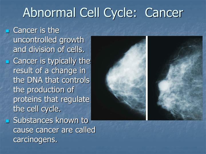 PPT - The Living Environment PowerPoint Presentation - ID:7019848