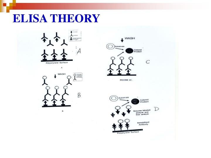 Types Of Elisa Labster Theory