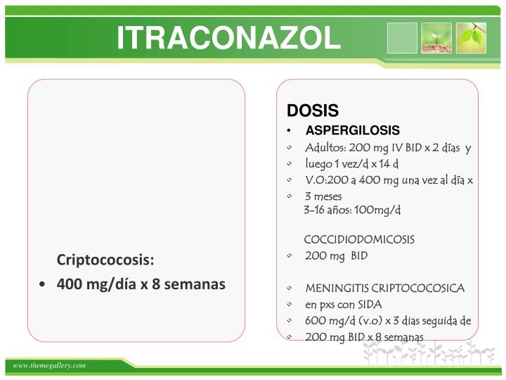 PPT - Antimicoticos PowerPoint Presentation - ID:7021338