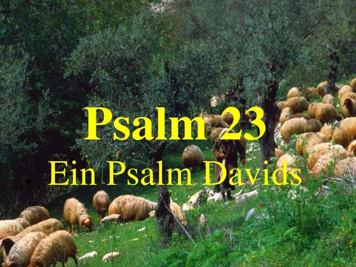 PPT - Psalm 23 Ein Psalm Davids PowerPoint Presentation, free download ...