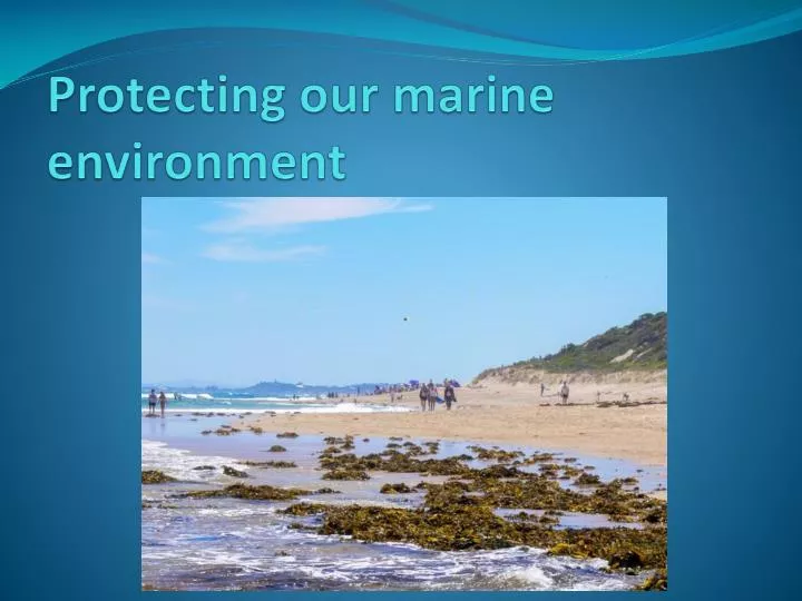 PPT - Protecting our marine environment PowerPoint Presentation, free ...