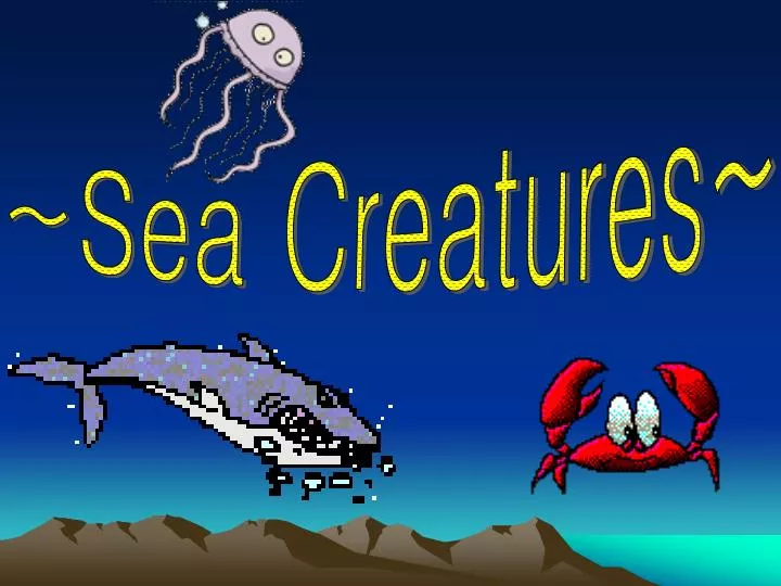 PPT - ~Sea Creatures~ PowerPoint Presentation, free download - ID:7022690