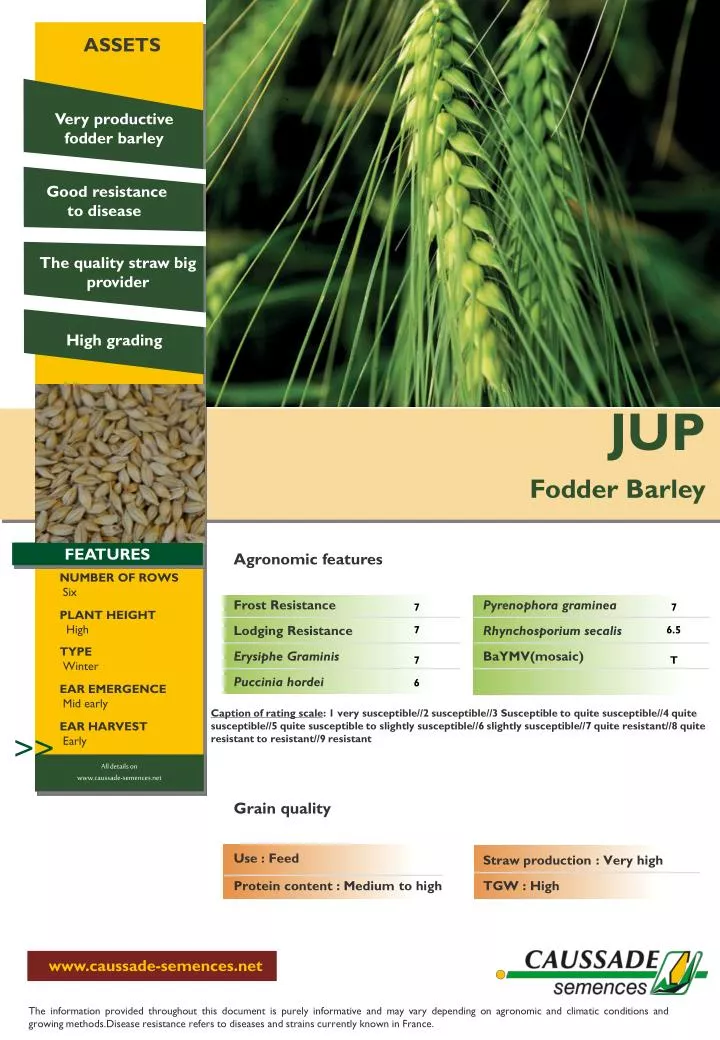 PPT - JUP Fodder Barley PowerPoint Presentation, free download - ID:7023003