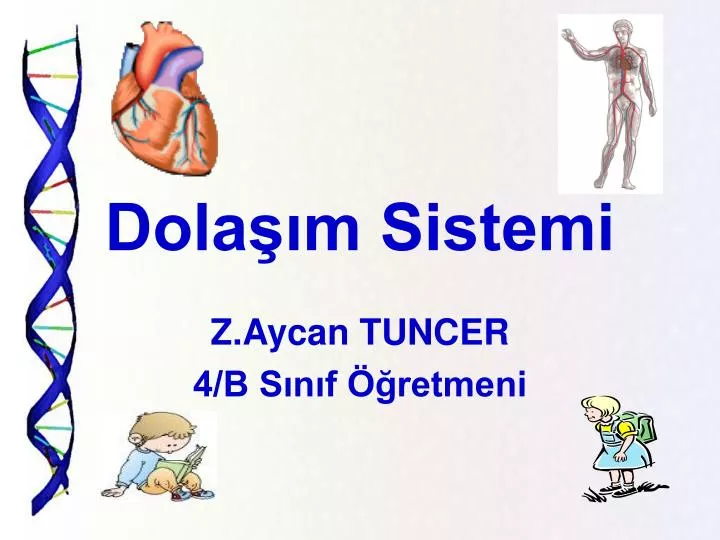 PPT - Dolaşım Sistemi PowerPoint Presentation, free download - ID:7023110