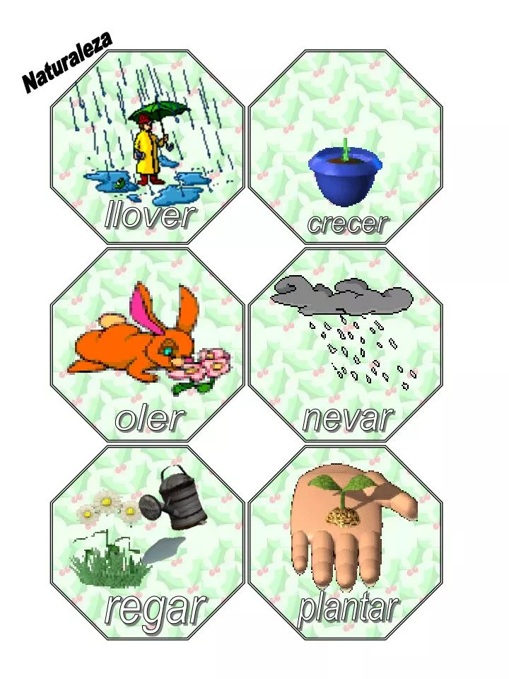 PPT - llover PowerPoint Presentation, free download - ID:7023212