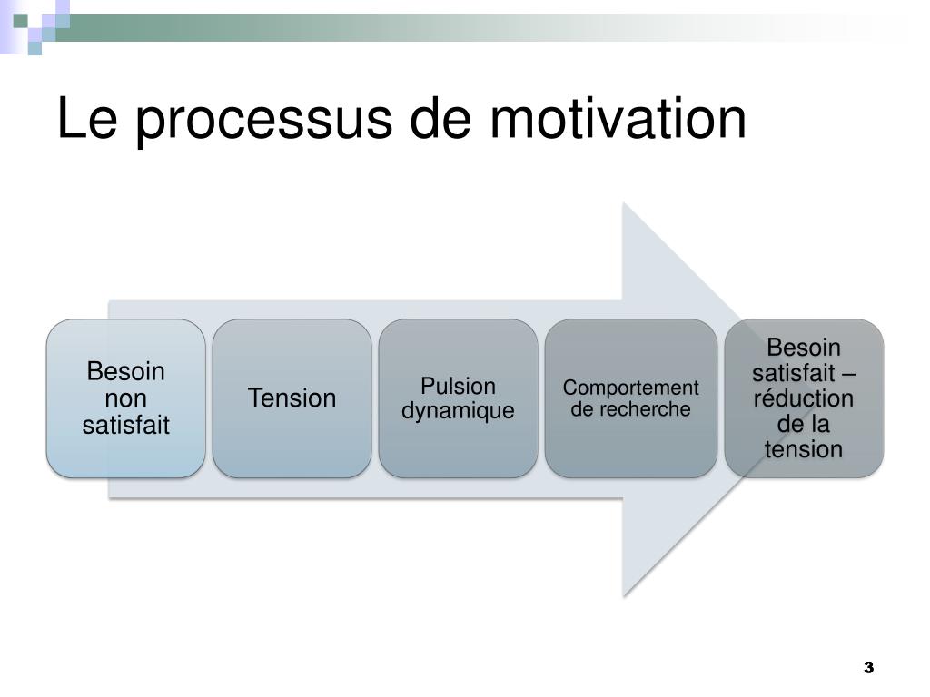 PPT - 3 ème partie : les fondements de l’organisation PowerPoint ...