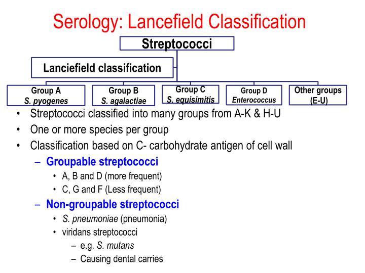 PPT - Practical Medical Microbiology PHT313 PowerPoint Presentation ...
