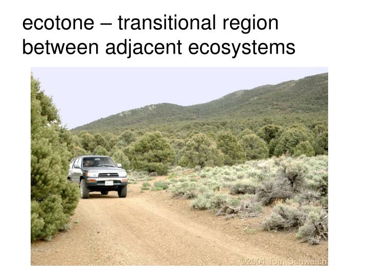 PPT - Introduction to Environmental Studies PowerPoint Presentation ...