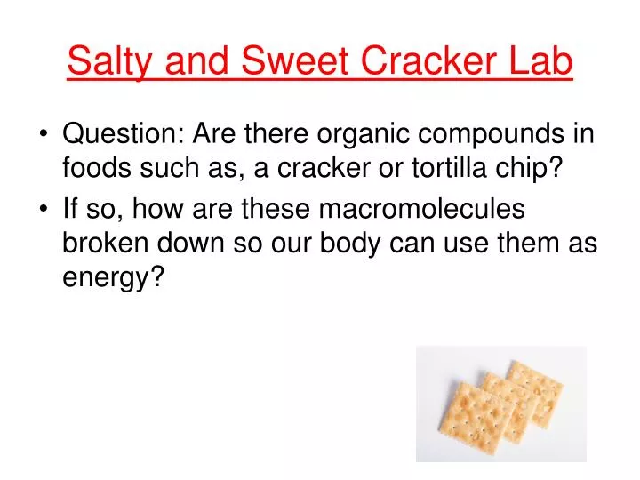 PPT - Salty and Sweet Cracker Lab PowerPoint Presentation, free ...