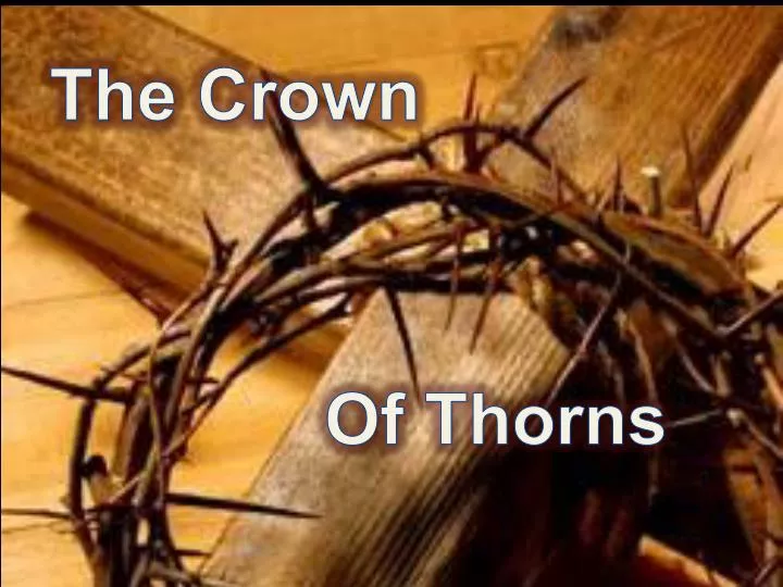 PPT - The Crown PowerPoint Presentation, free download - ID:7029685