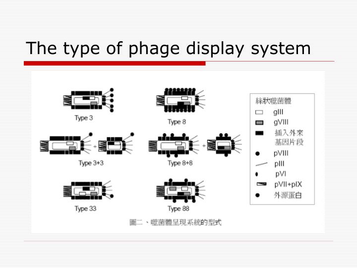 PPT - Detection and precipitation of hepatitis B core antigen using a ...