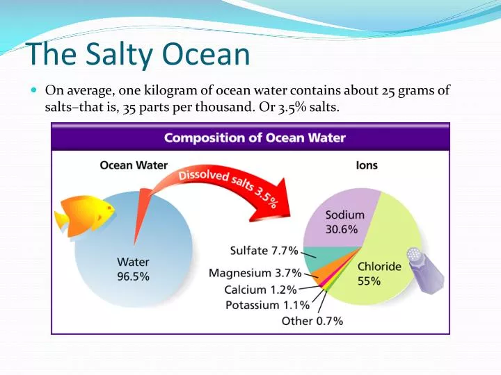 PPT - The Salty Ocean PowerPoint Presentation, free download - ID:7029876