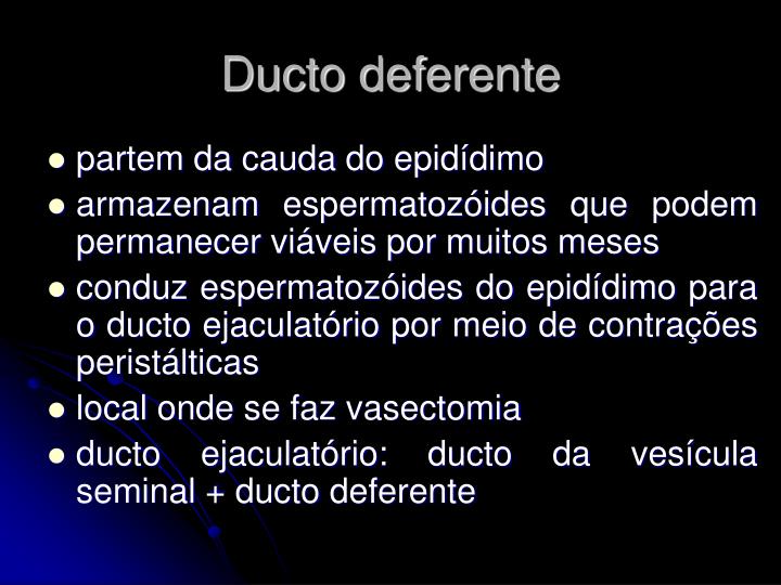 PPT - Sistema Reprodutor Masculino PowerPoint Presentation - ID:7035371