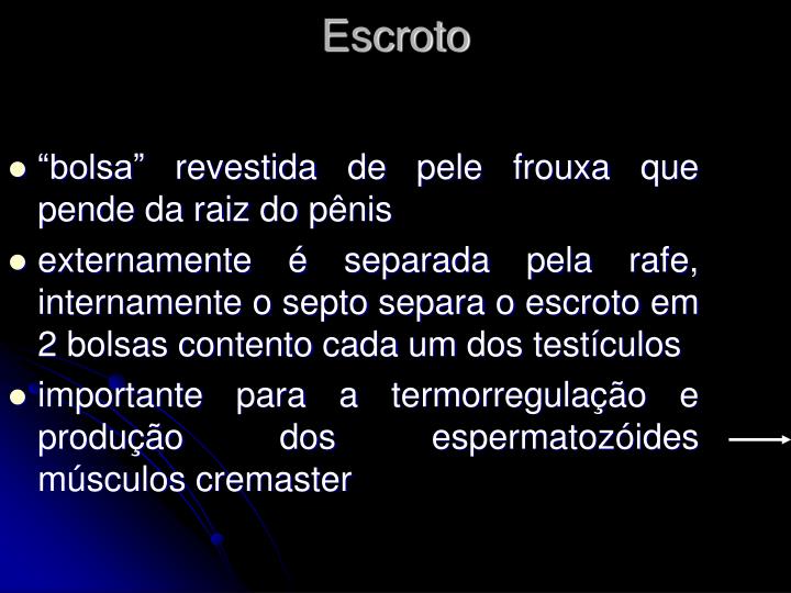 PPT - Sistema Reprodutor Masculino PowerPoint Presentation - ID:7035371