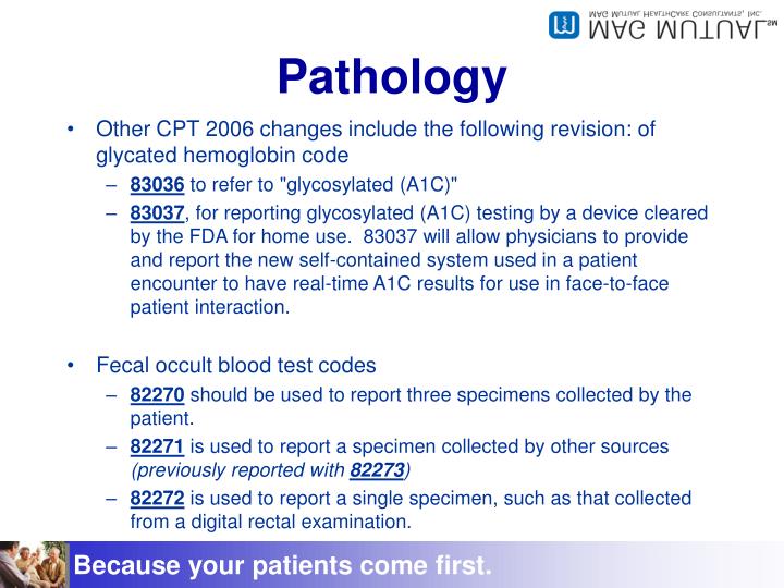 PPT - 2006 CPT Coding Update PowerPoint Presentation - ID:7035698
