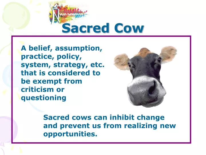 PPT - Sacred Cow PowerPoint Presentation, free download - ID:7036168
